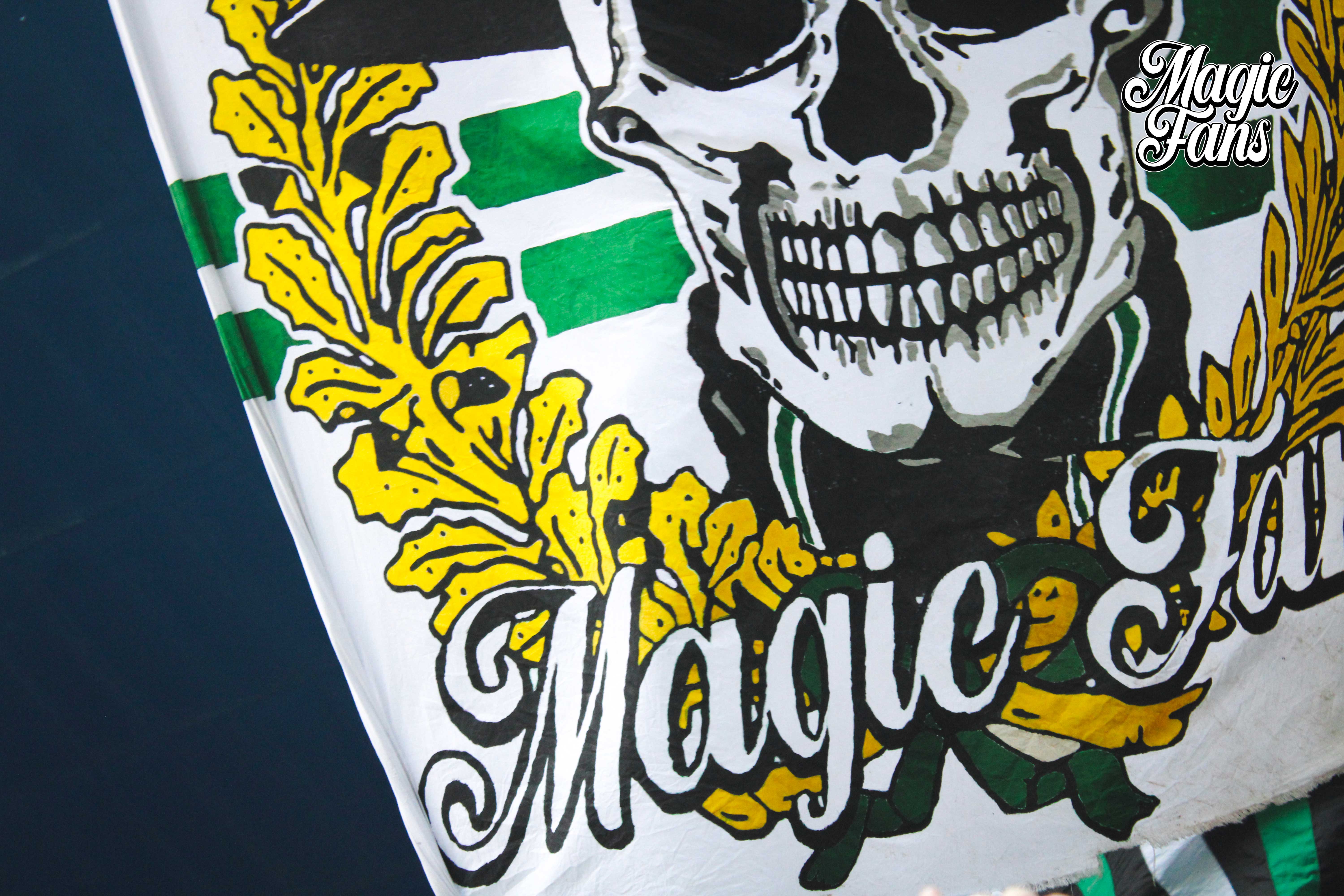 [Ligue 2] J28. Le Havre – ASSE 2:2 – magicfans.fr